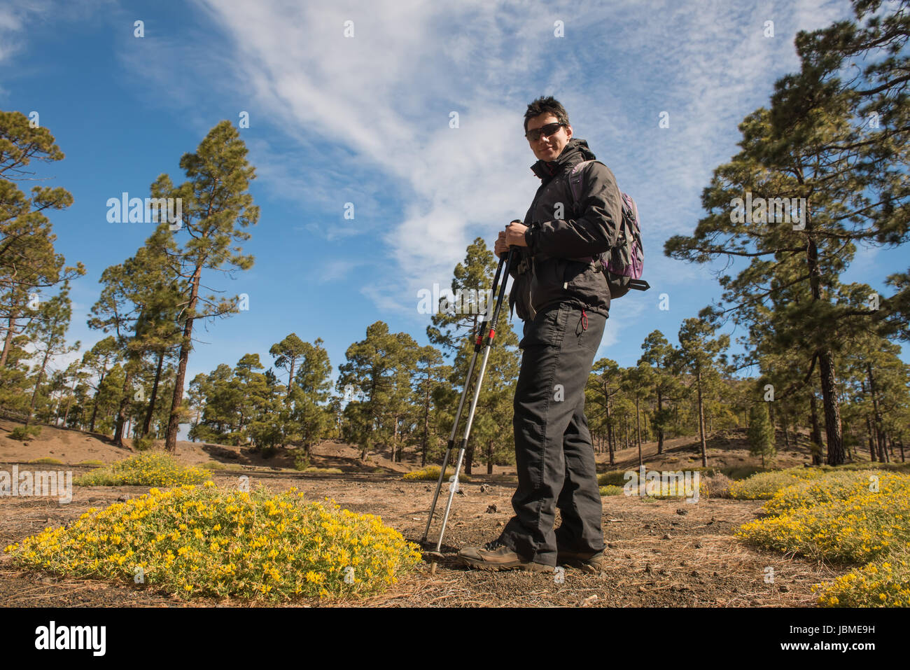 Young man hiking in forest hi-res stock photography and images - Alamy