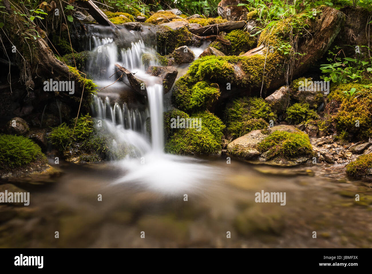 little waterfall in the forest Stock Photo - Alamy