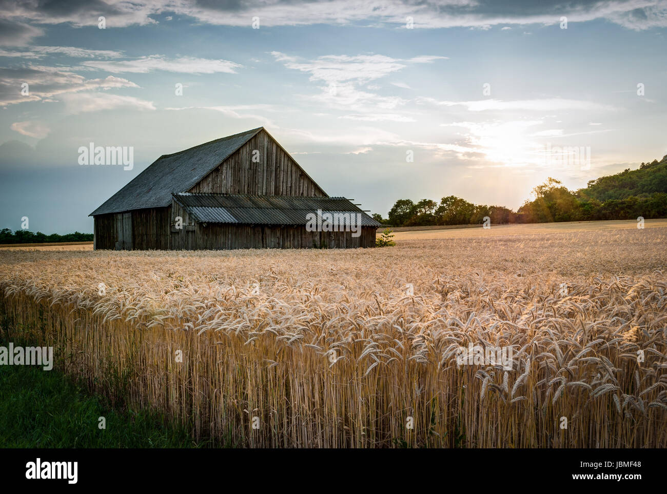 abandoned shack in the field at sunset Stock Photo - Alamy