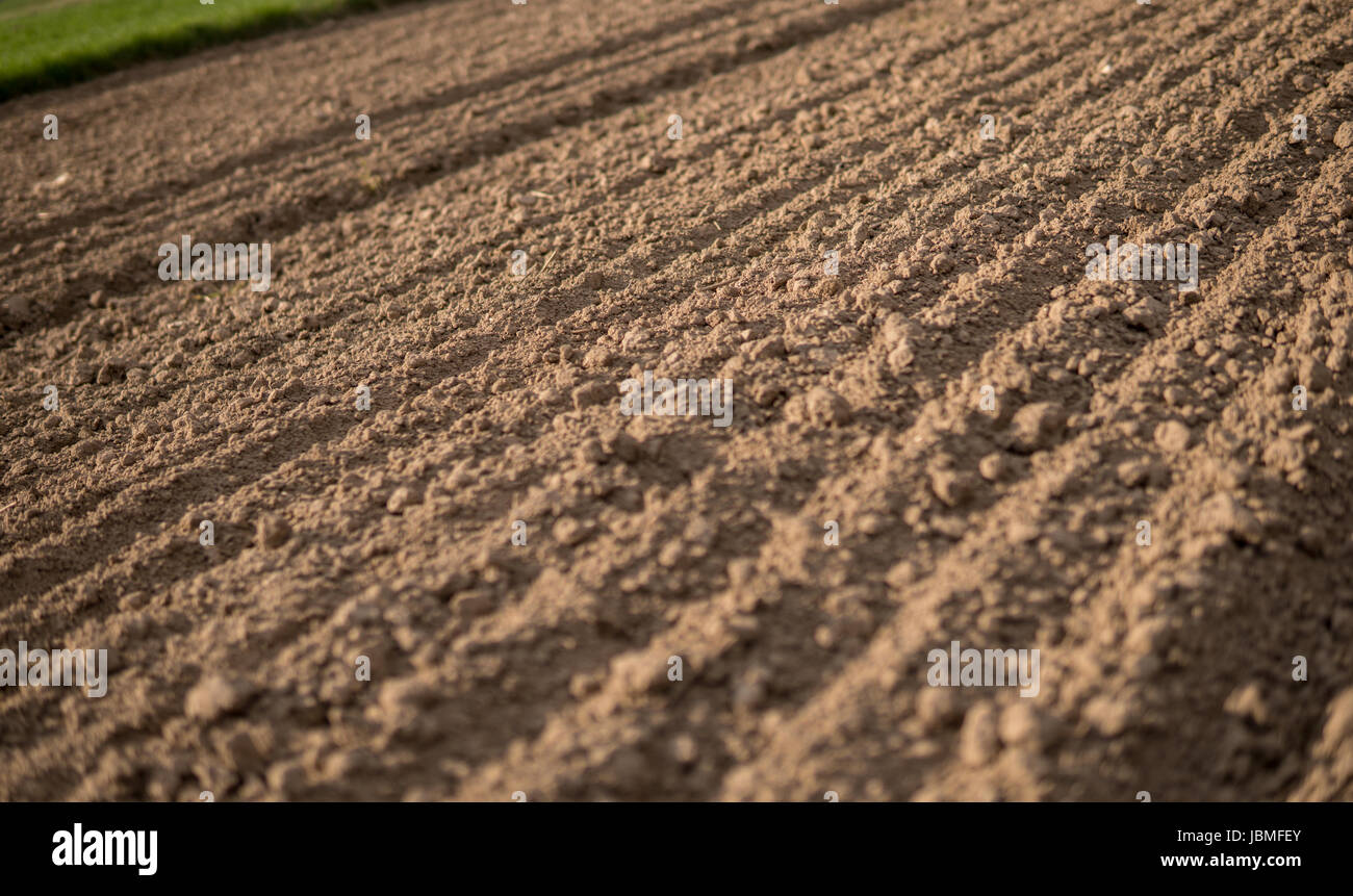 empty field after harrowing during early spring Stock Photo - Alamy