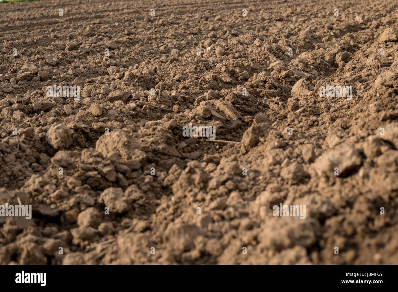 empty field after harrowing during early spring Stock Photo - Alamy