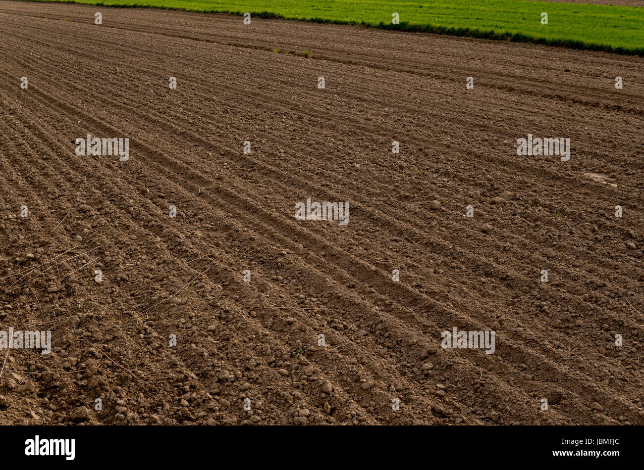 empty field after harrowing during early spring Stock Photo - Alamy