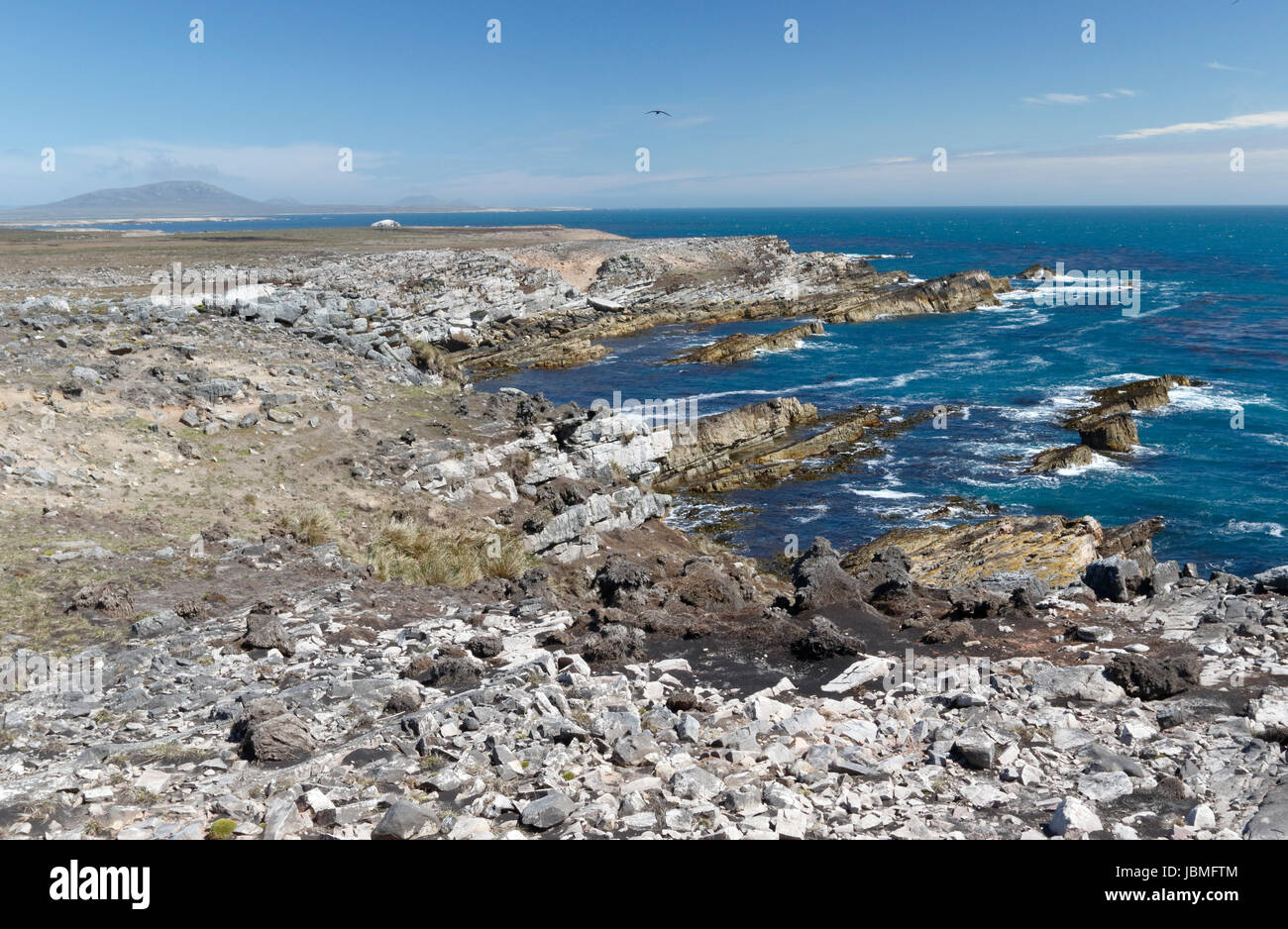 Pebble island falklands war hi-res stock photography and images - Alamy