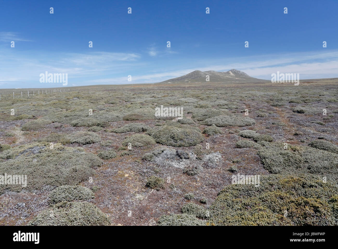 Pebble island falklands war hi-res stock photography and images - Alamy