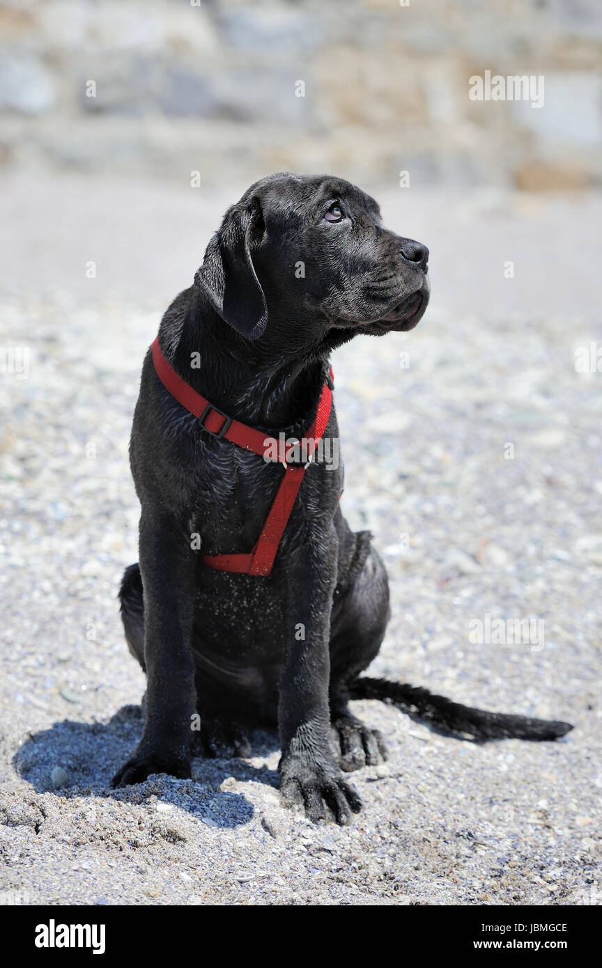 Sad beach hi-res stock photography and images - Alamy
