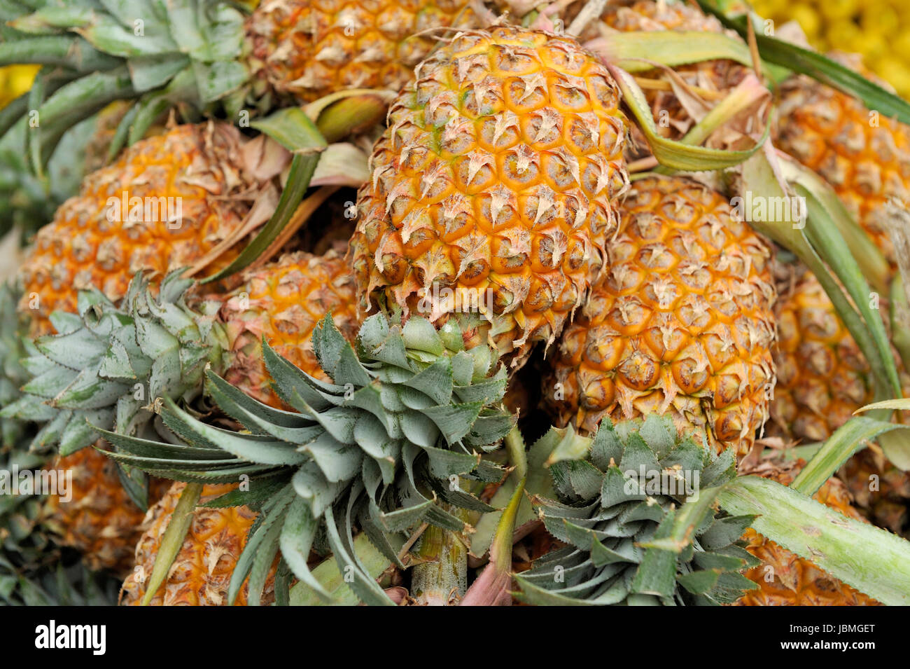Lot of many pineapple fruit background Stock Photo - Alamy