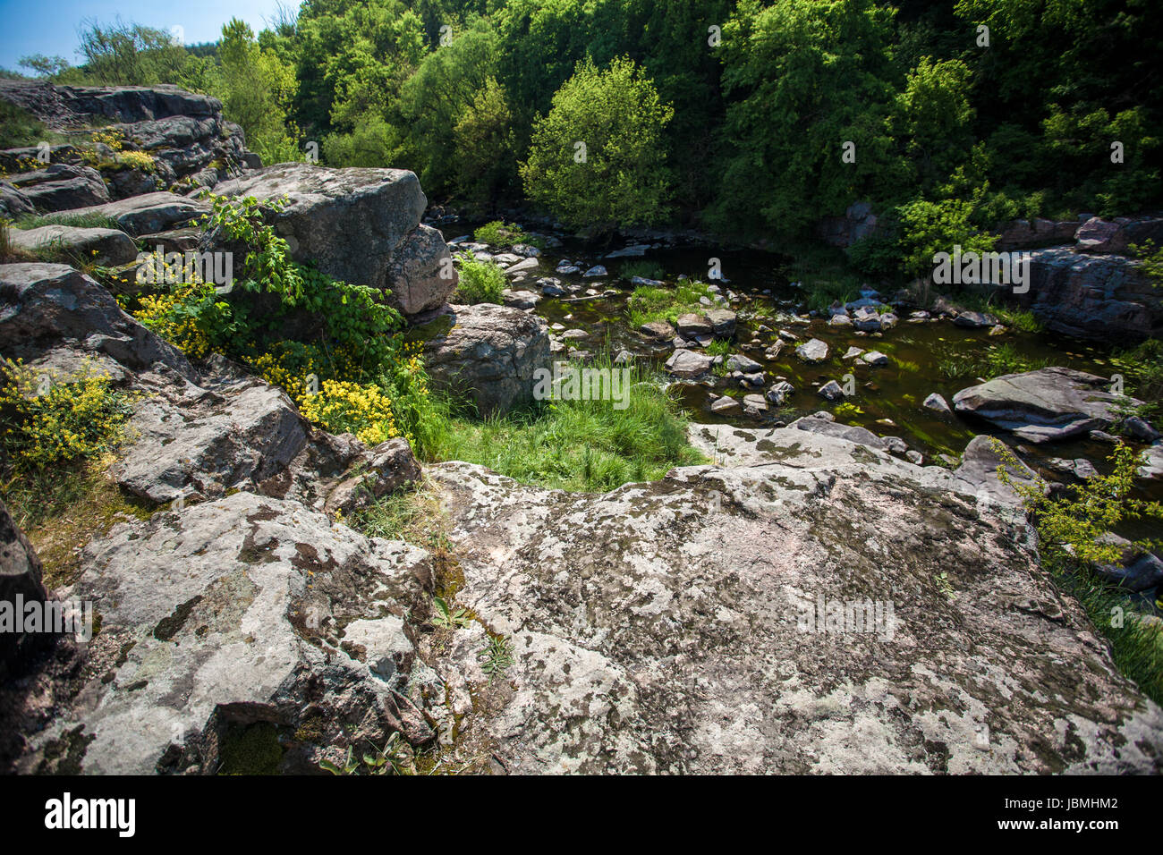 View from cliff on fast mountain river and forest Stock Photo - Alamy