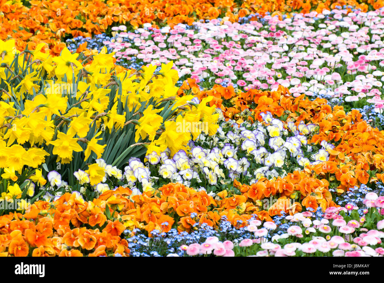 Garden with a flower bed full of gorgeous blossoms Stock Photo - Alamy
