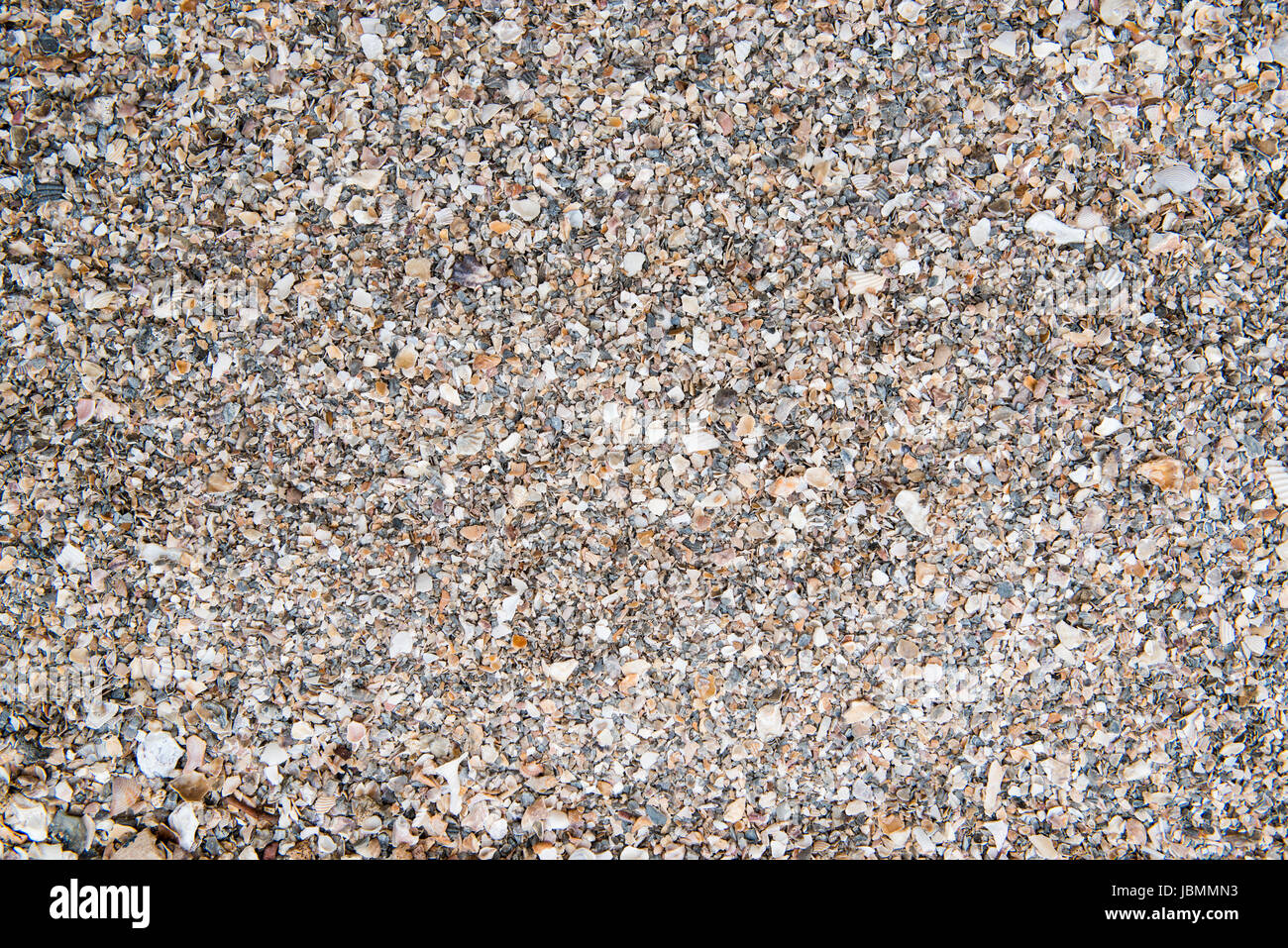 shells pieces crushed on the beach Stock Photo - Alamy