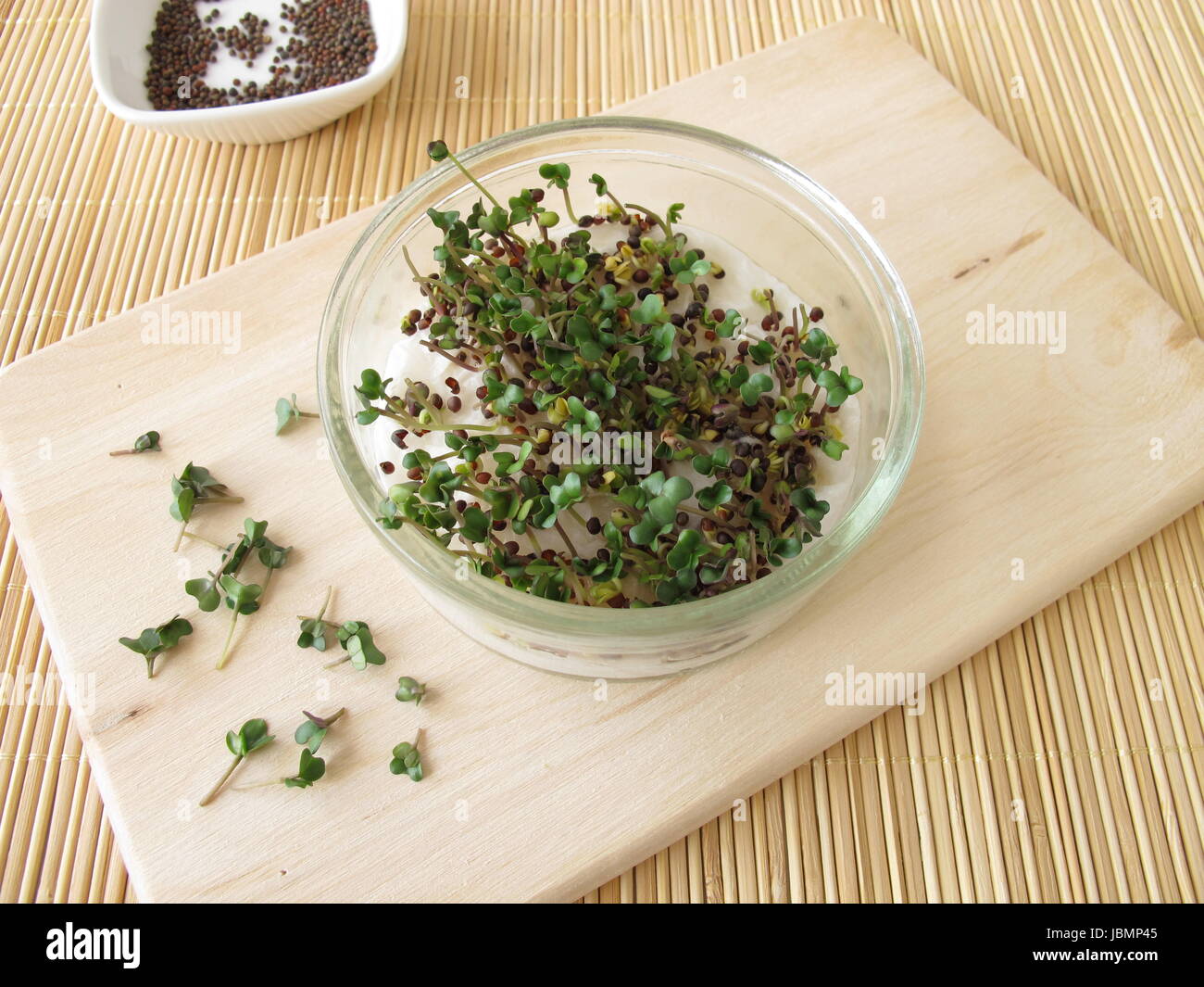 Sprossenbrokkoli hi-res stock photography and images - Alamy