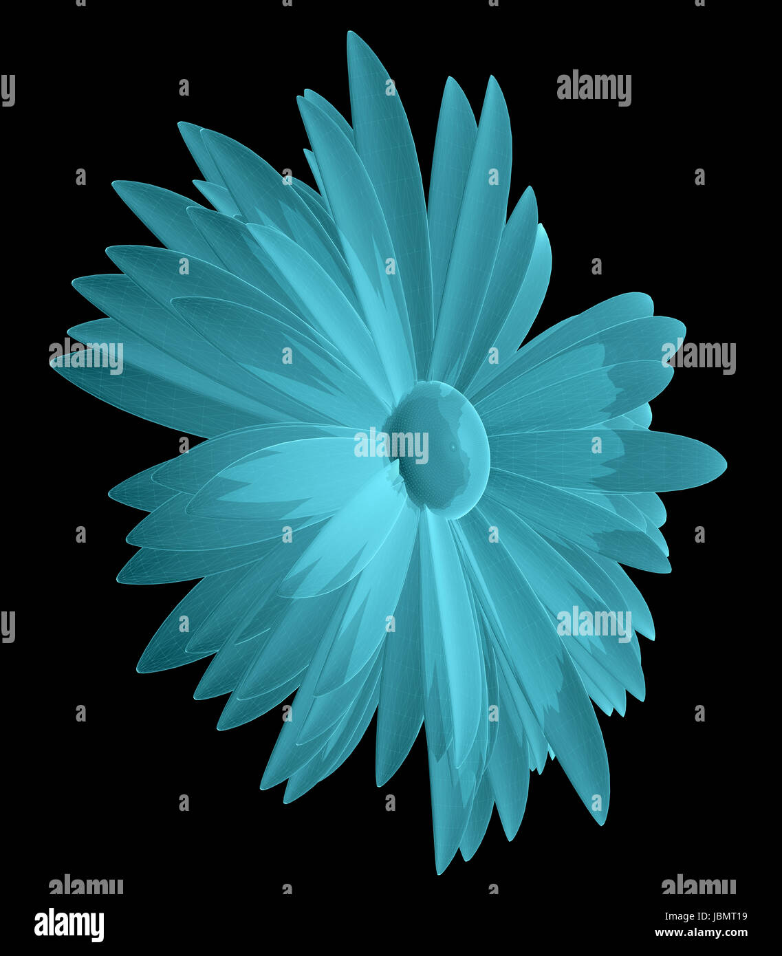 X ray flower hi-res stock photography and images - Alamy