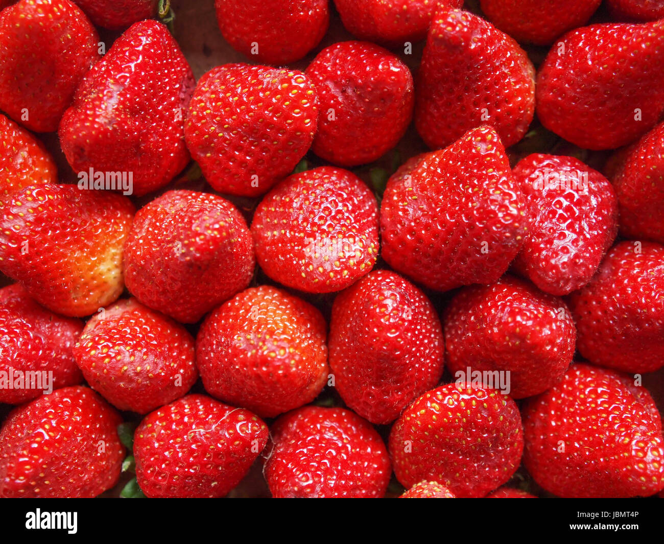 Strawberry fruit aka garden strawberry or fragaria Stock Photo - Alamy