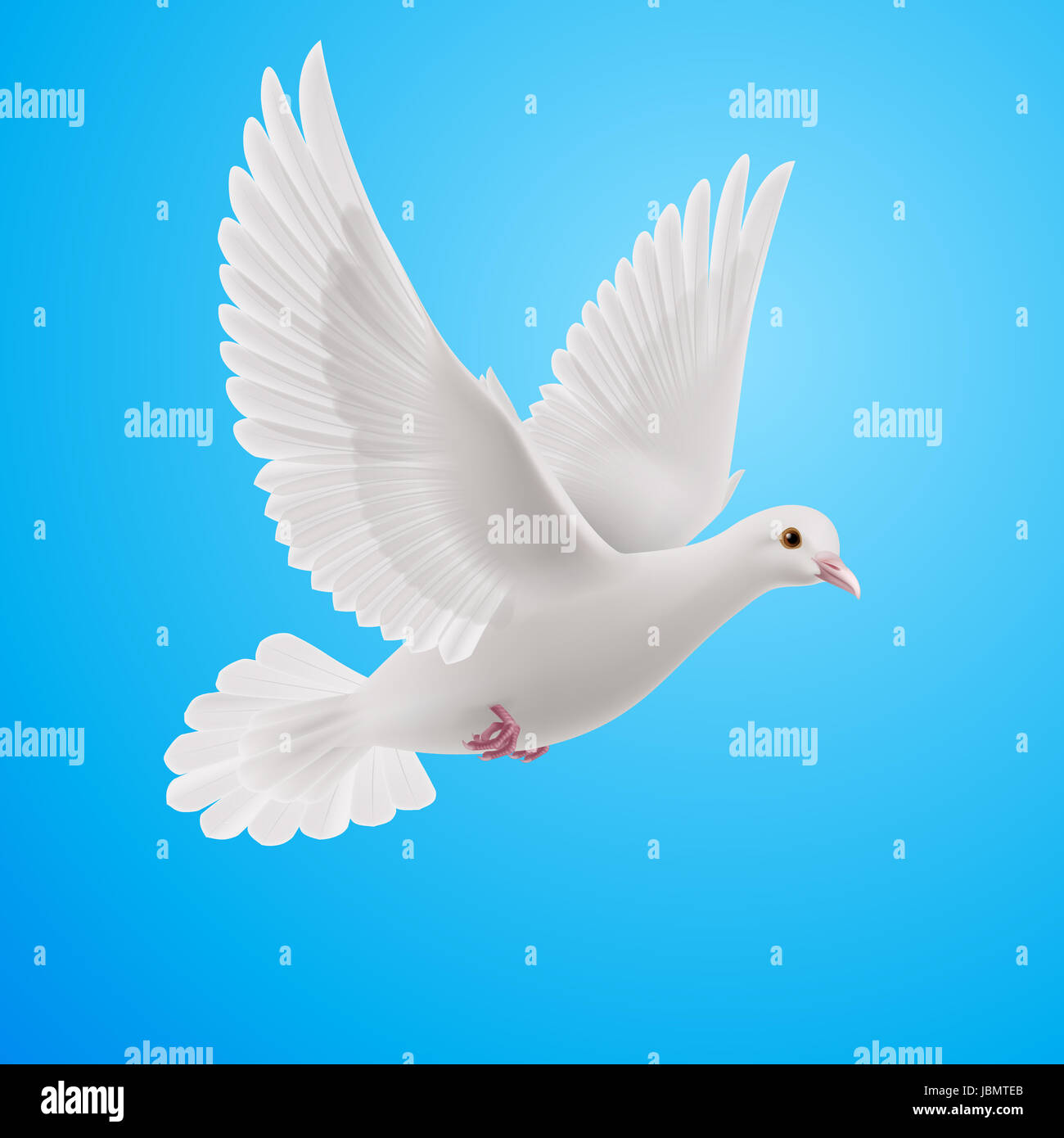 Realistic white dove on blue background. Symbol of peace Stock Photo ...