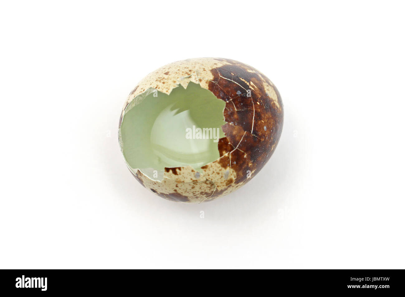 Cracked empty quail egg shell on white background Stock Photo - Alamy