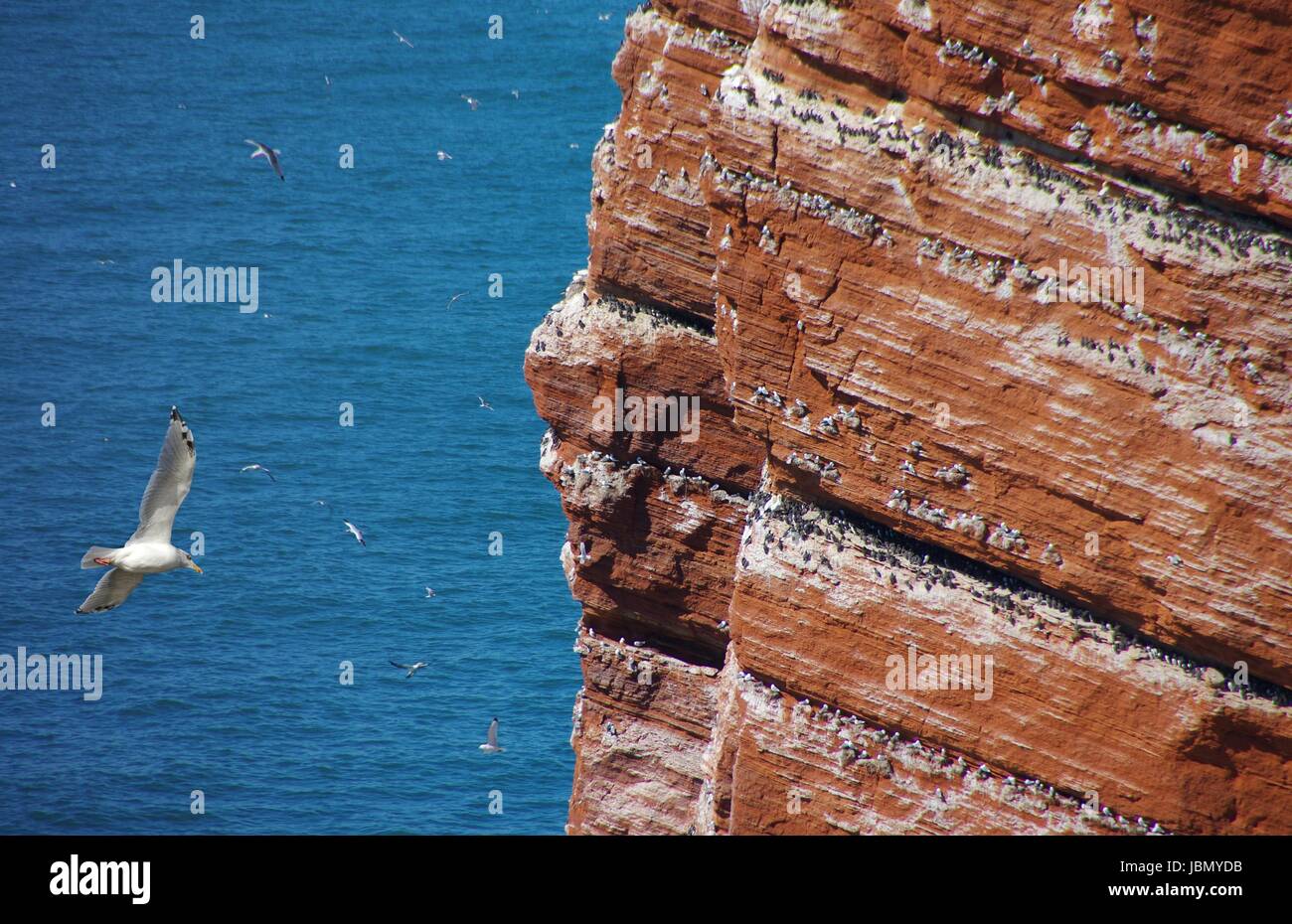 salt water sea Stock Photo - Alamy