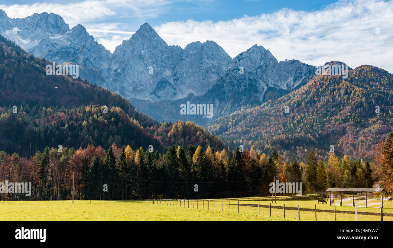 Grazing land with the peaks of the Julian Alps in the background Stock ...