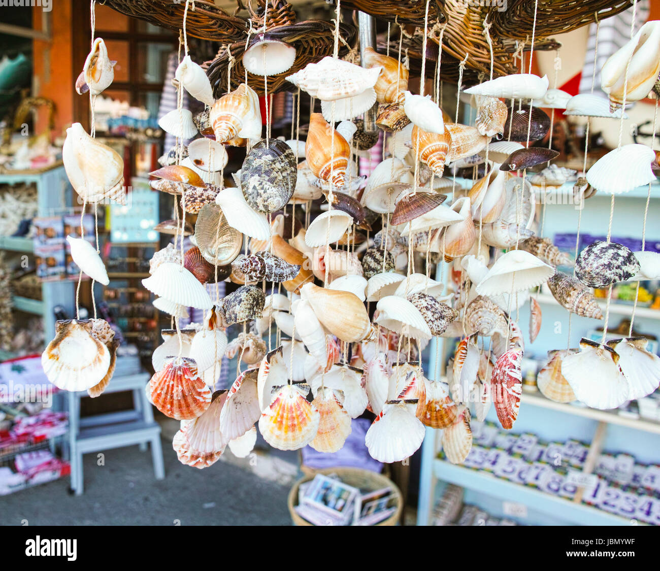 Spiky sea shell hi-res stock photography and images - Alamy