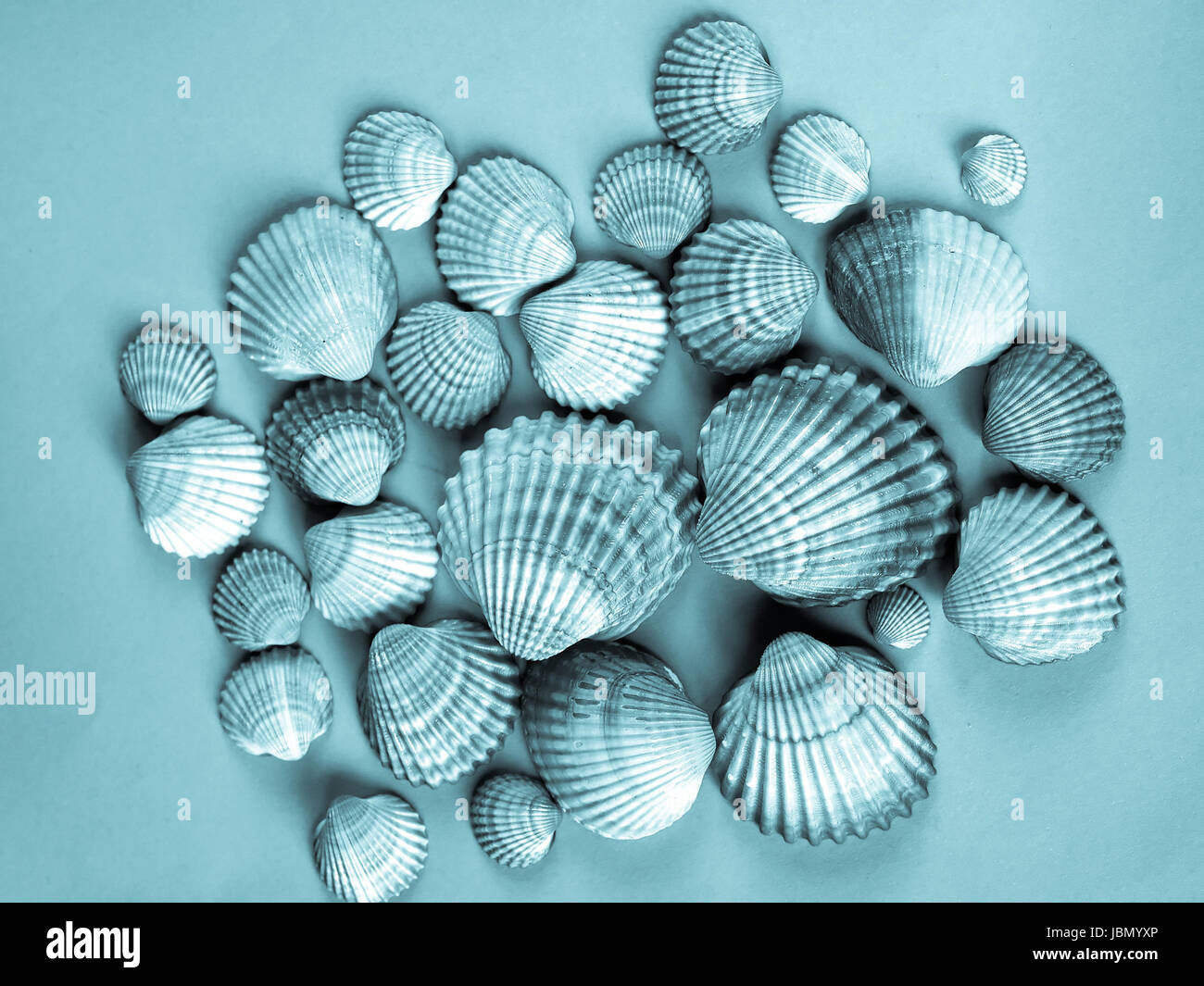 Range of sea shells in blue water - cool cyanotype Stock Photo - Alamy