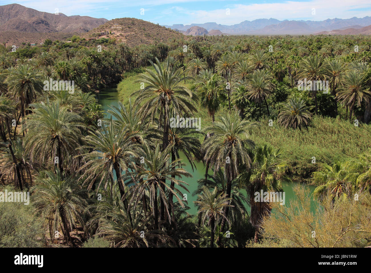 Overview from mission of huge date palm grove and river near Mulege ...