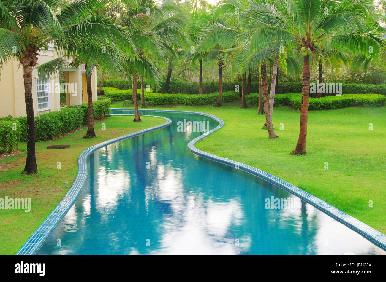 swimming pool with coconut tree and white umbrella Stock Photo - Alamy