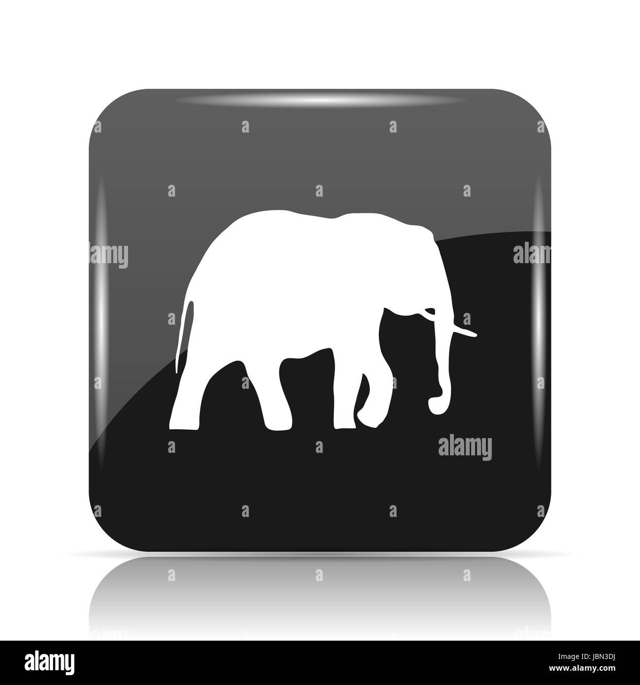 Elephant icon. Internet button on white background Stock Photo - Alamy
