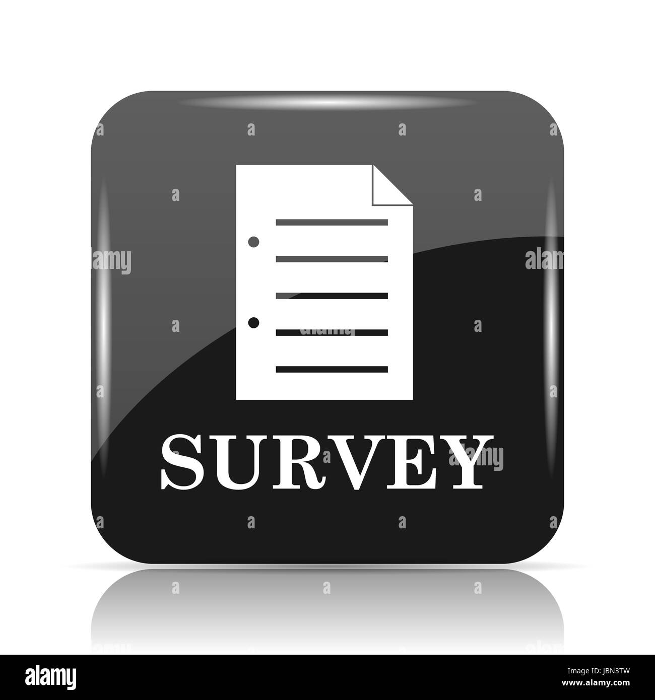 Survey icon. Internet button on white background Stock Photo - Alamy