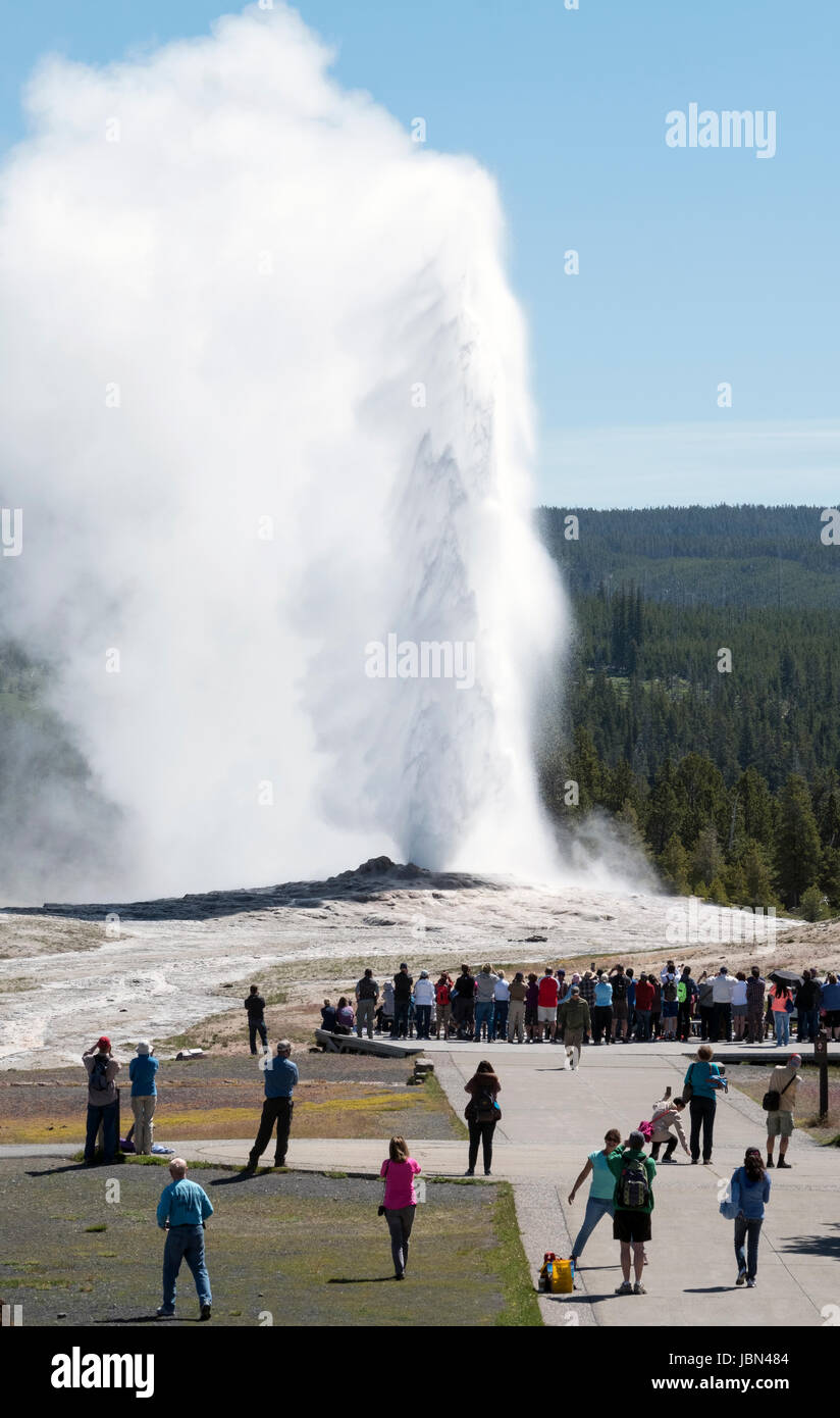 Old faithful geyser hi-res stock photography and images - Alamy