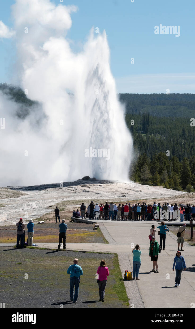Old faithful area yellowstone hi-res stock photography and images - Alamy