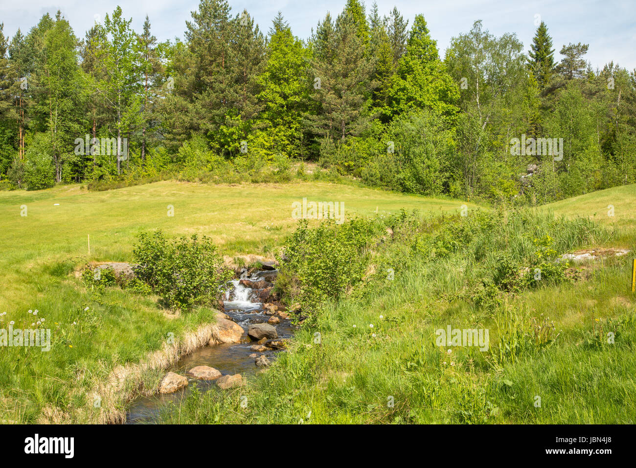Landscape with a small waterfall on a golf course with green grass ...