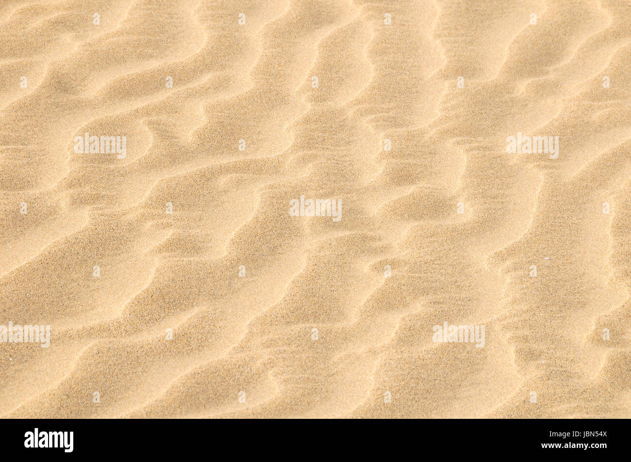 Cddc hi-res stock photography and images - Alamy