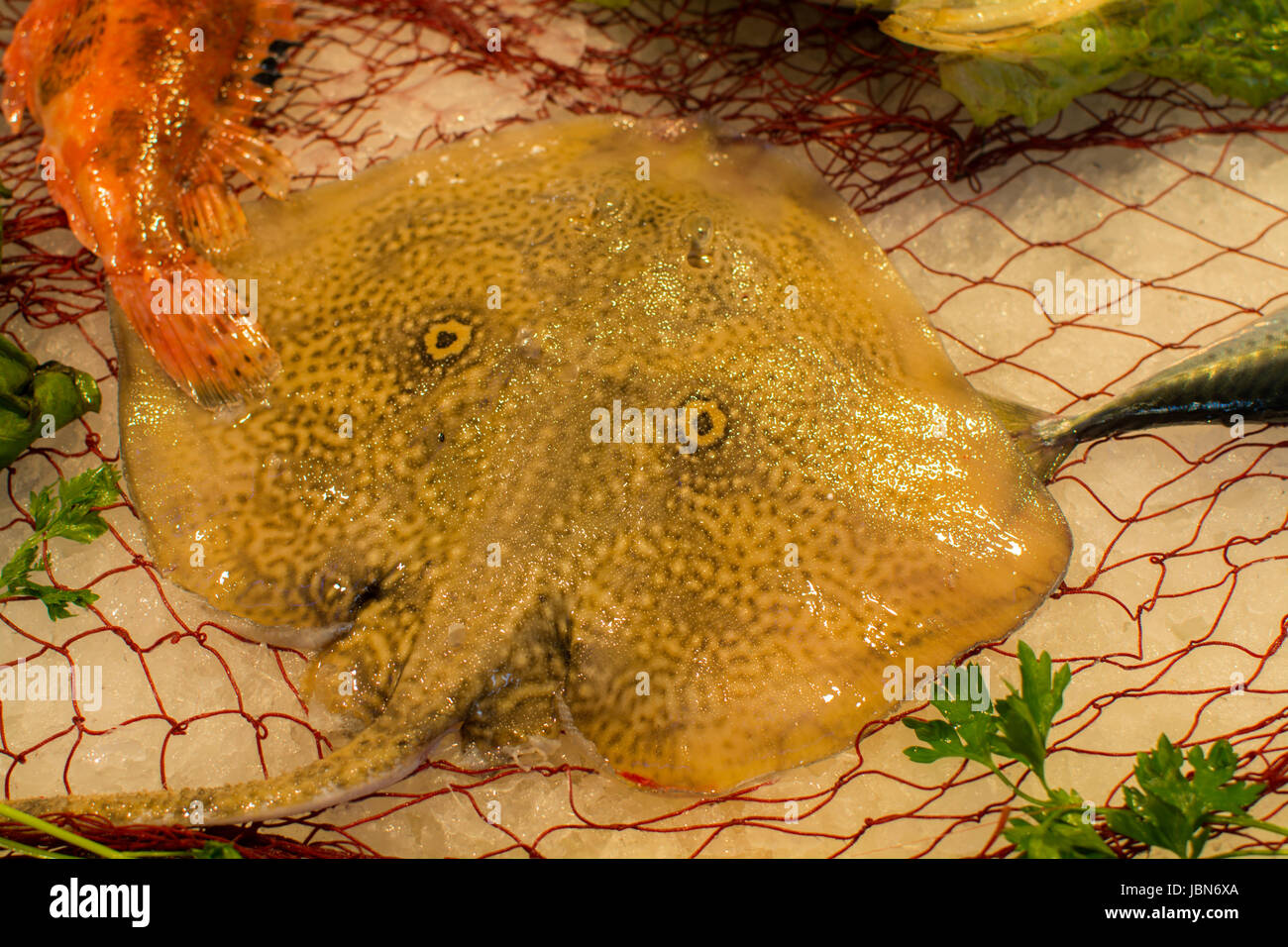 Сatch of fresh raw fish from Aegean sea, Sicily, Italy, ready to cook ...