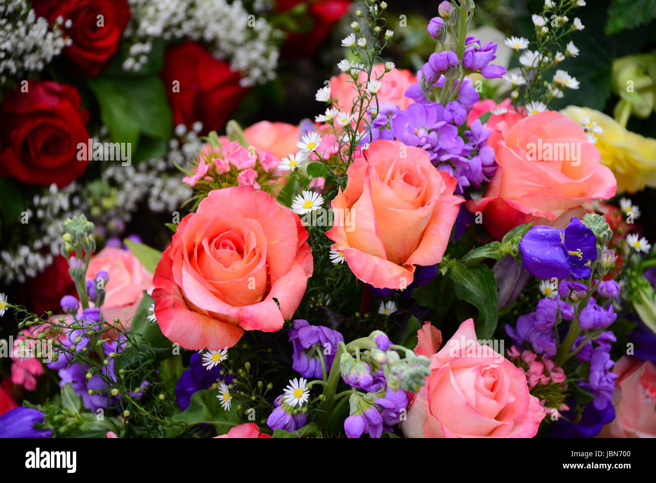 bouquets of flowers,signs of spring Stock Photo - Alamy