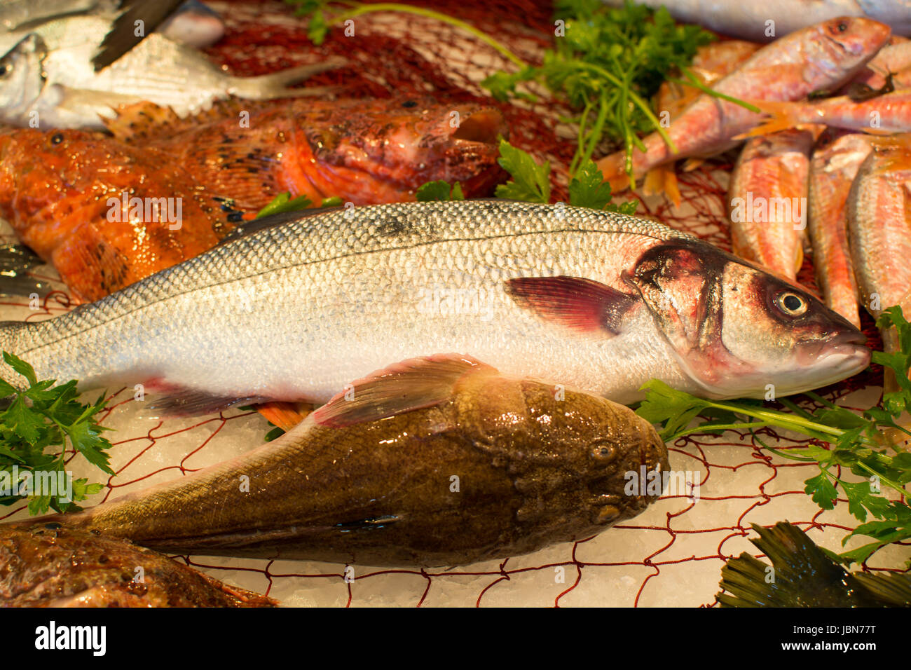 Сatch of fresh raw fish from Aegean sea, Sicily, Italy, ready to cook ...