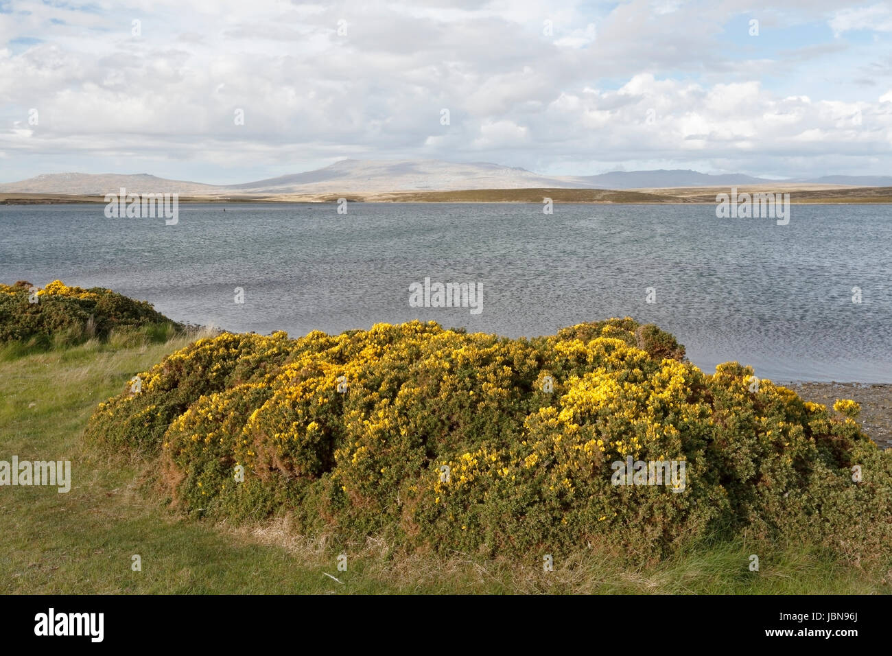 Darwin bay falkland hi-res stock photography and images - Alamy