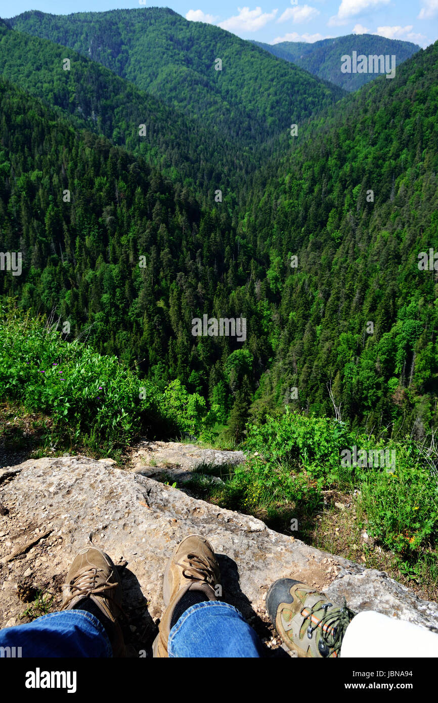 View of a foirest from a cliff Stock Photo - Alamy
