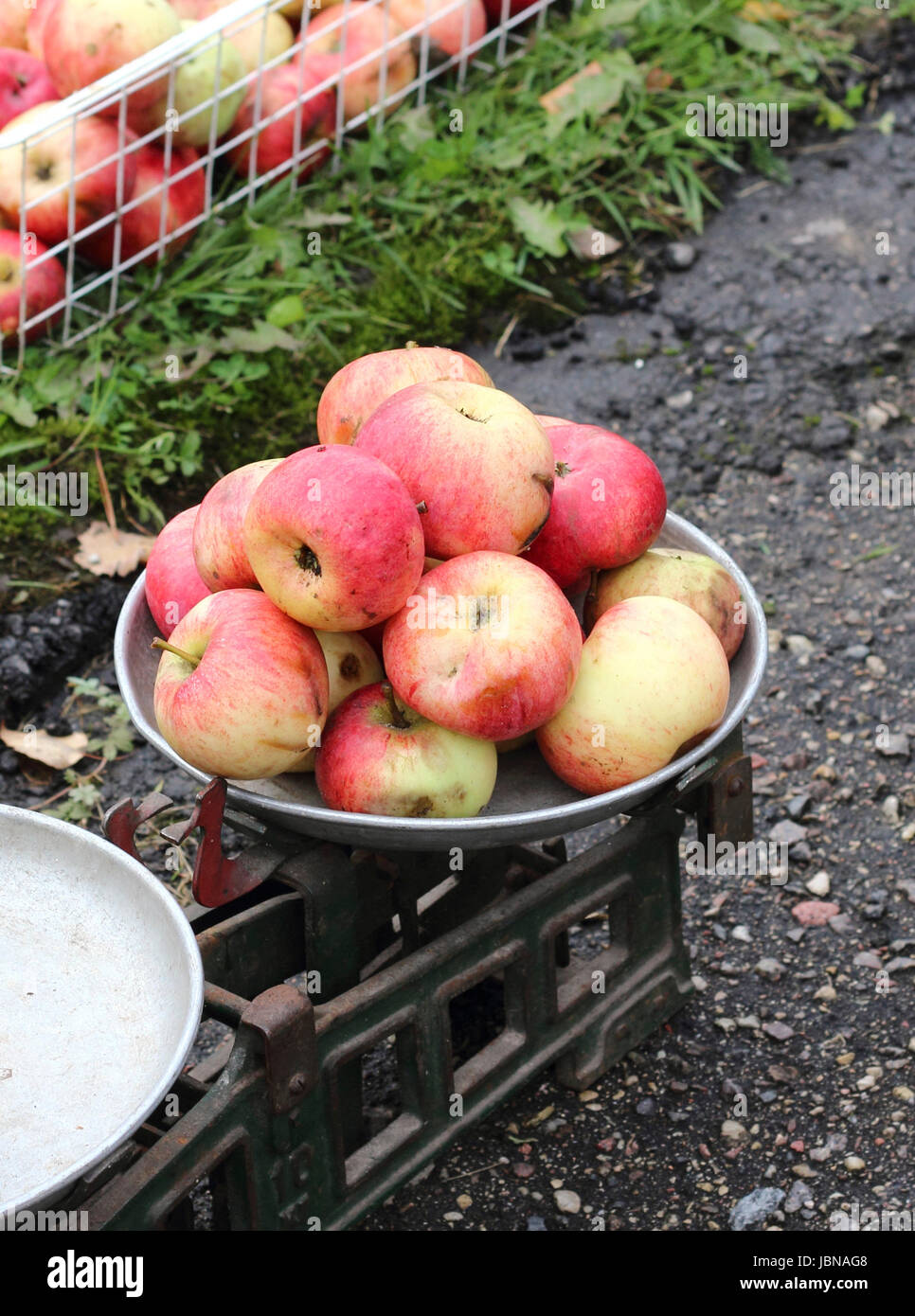 overripe red apples on an old scales Stock Photo - Alamy