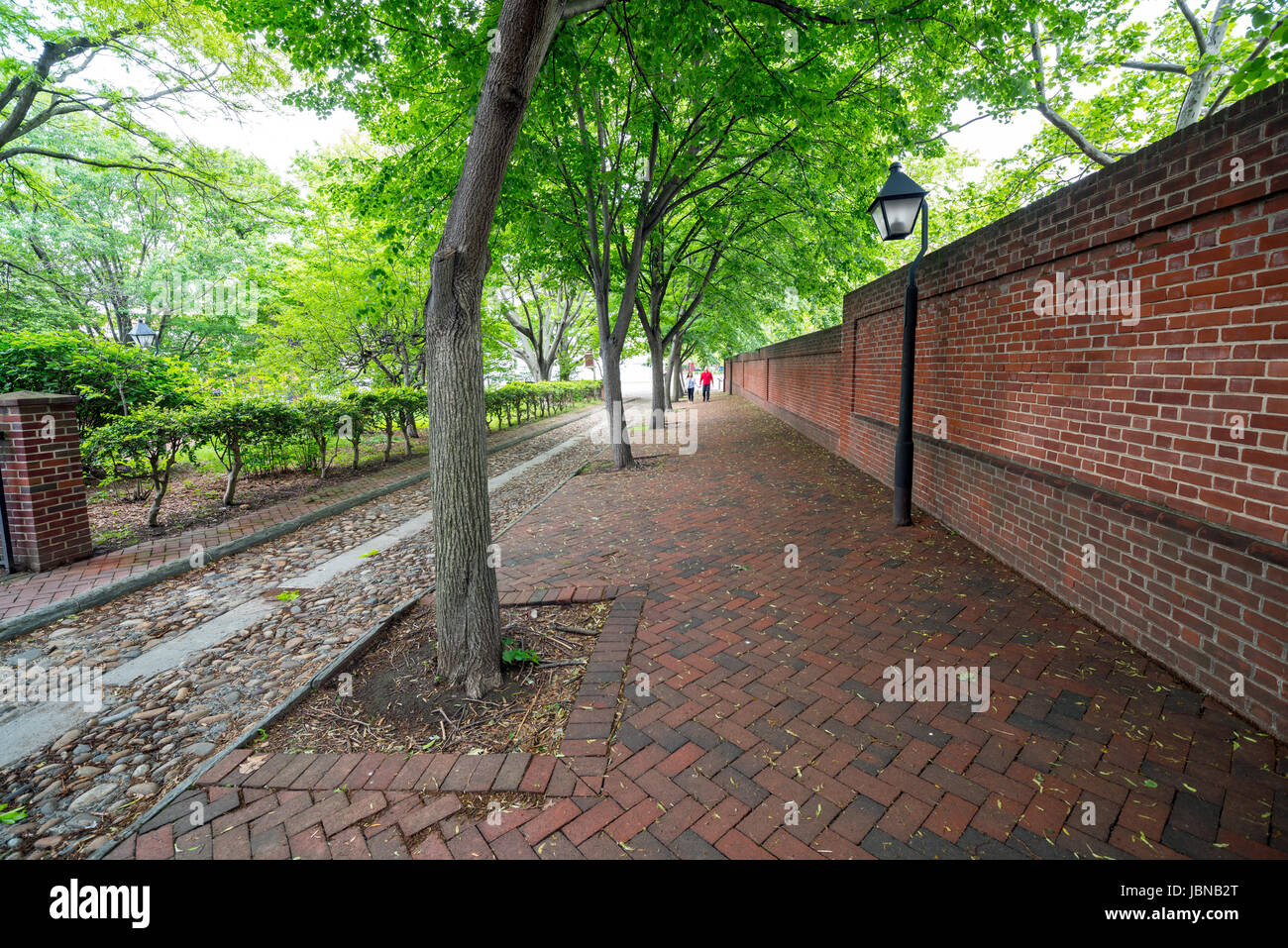 Brick path through trees hi-res stock photography and images - Alamy