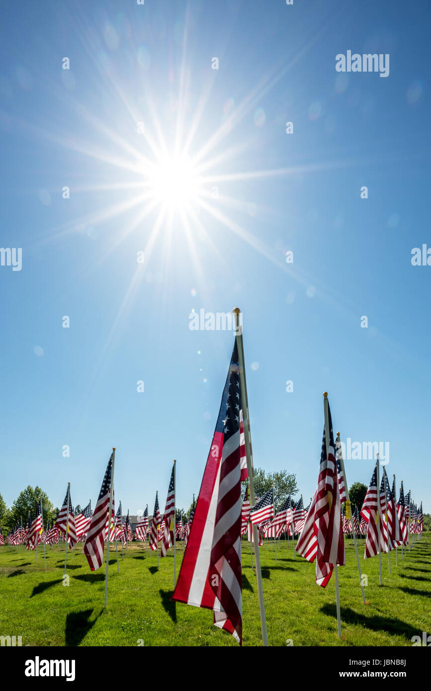Many usa flags hi-res stock photography and images - Alamy