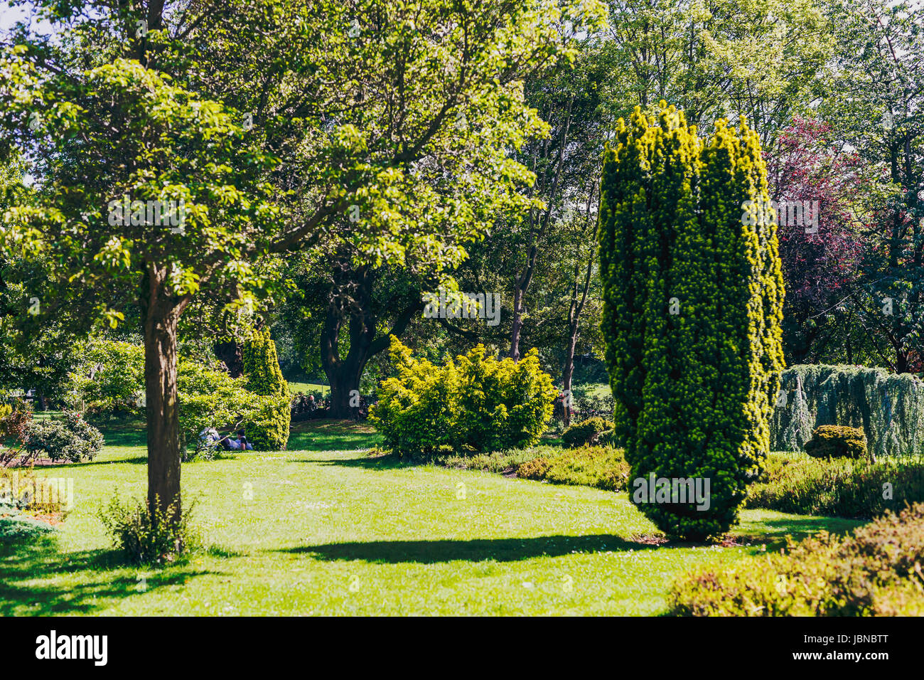 Merrion square garden hi-res stock photography and images - Alamy