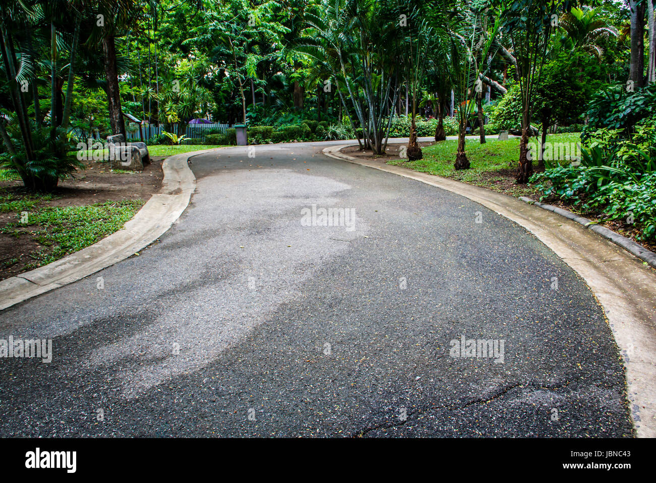 garden walkway in the zoo Stock Photo - Alamy