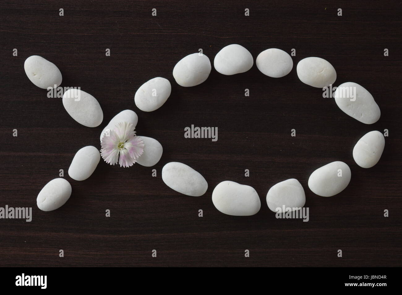 Fish formed of white pebble stones Stock Photo - Alamy