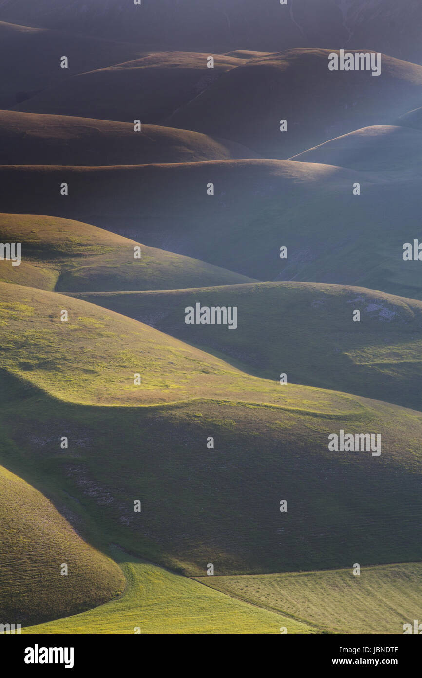 Morning Light - Rolling green hills and fields are bathed in dawns ...