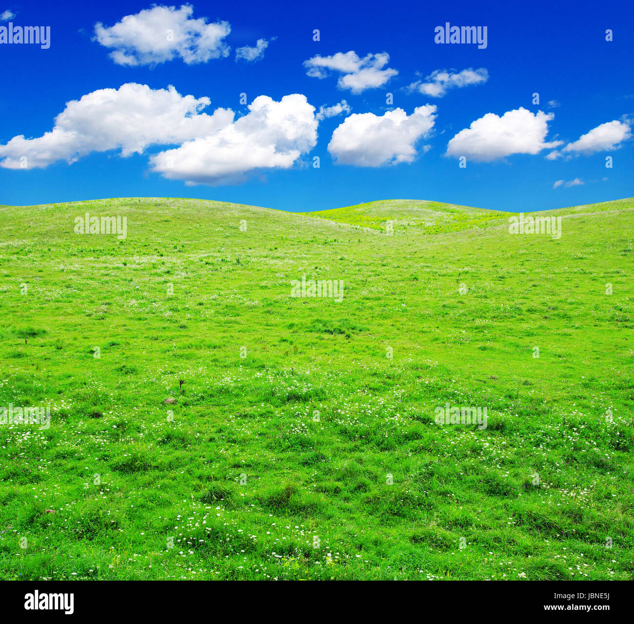 green field and blue sky Stock Photo - Alamy