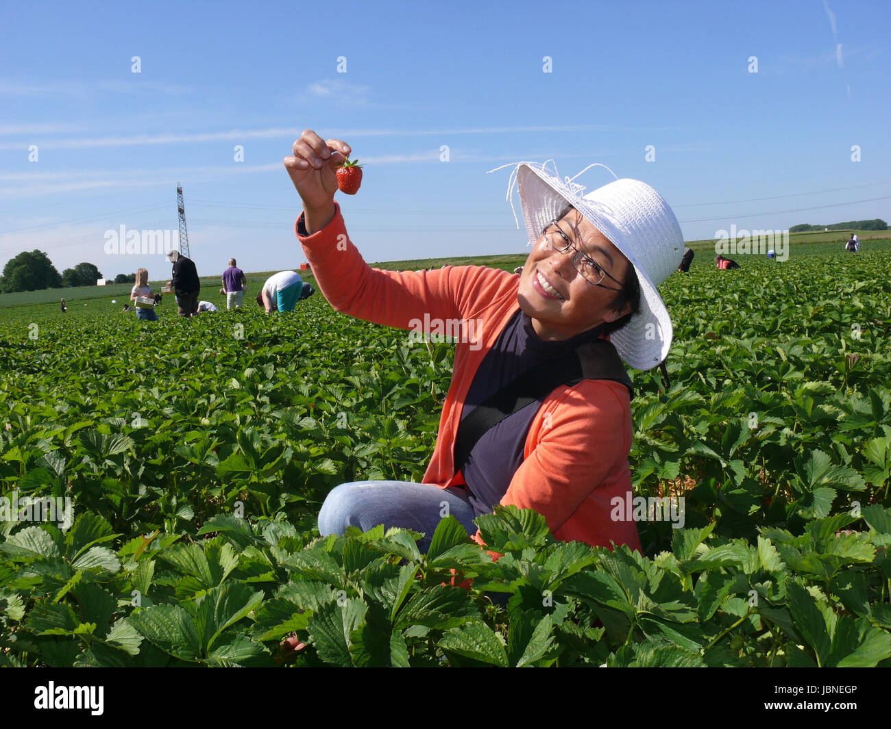 Human farming hi-res stock photography and images - Alamy