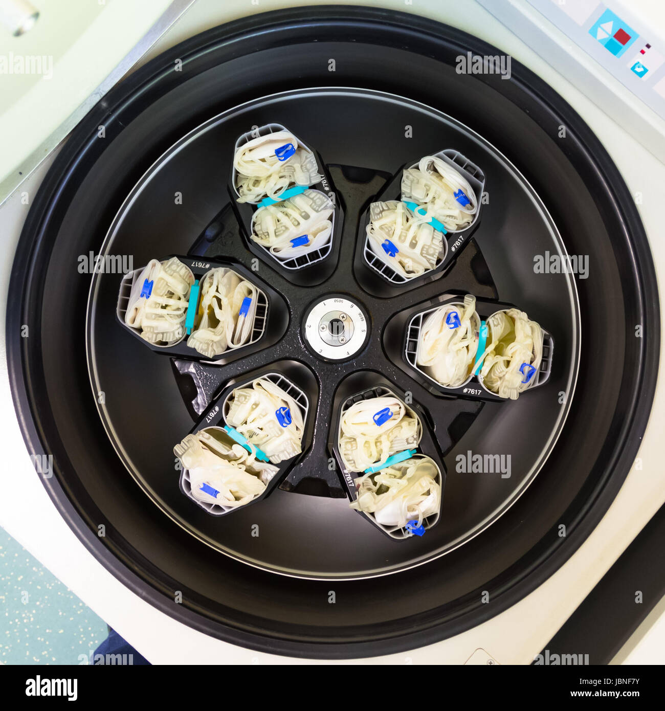 Blood bags after blood donation in centrifuge for separation of serum ...