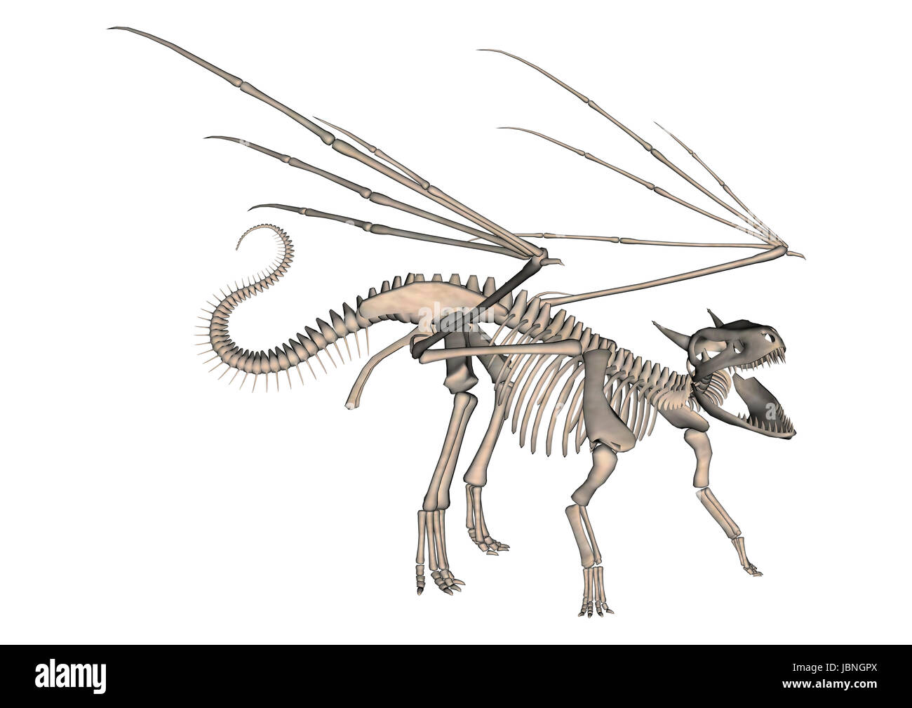 Gigantoraptor Skeleton