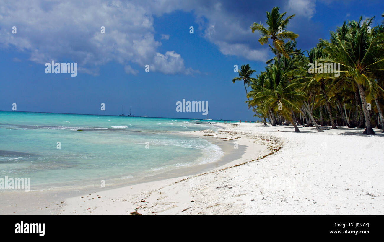 real caribbean paradise saona island Stock Photo - Alamy