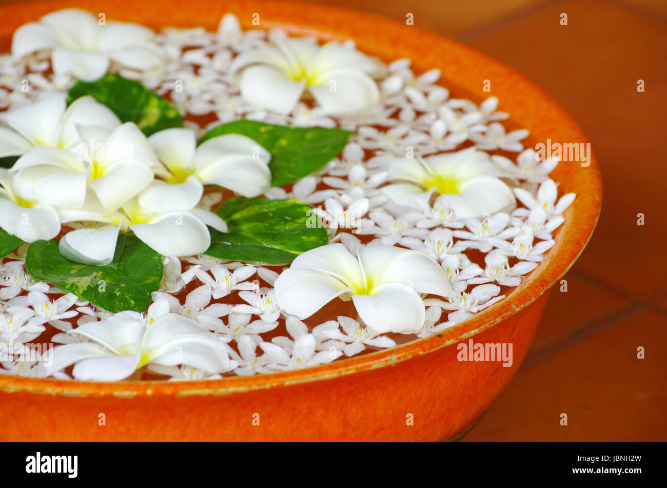 Beautiful flowers floating in water Stock Photo - Alamy