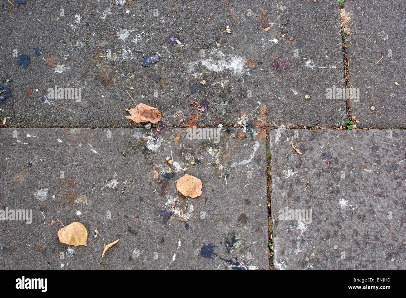 A dirty concrete sidewalk with leaves and bird poo Stock Photo - Alamy
