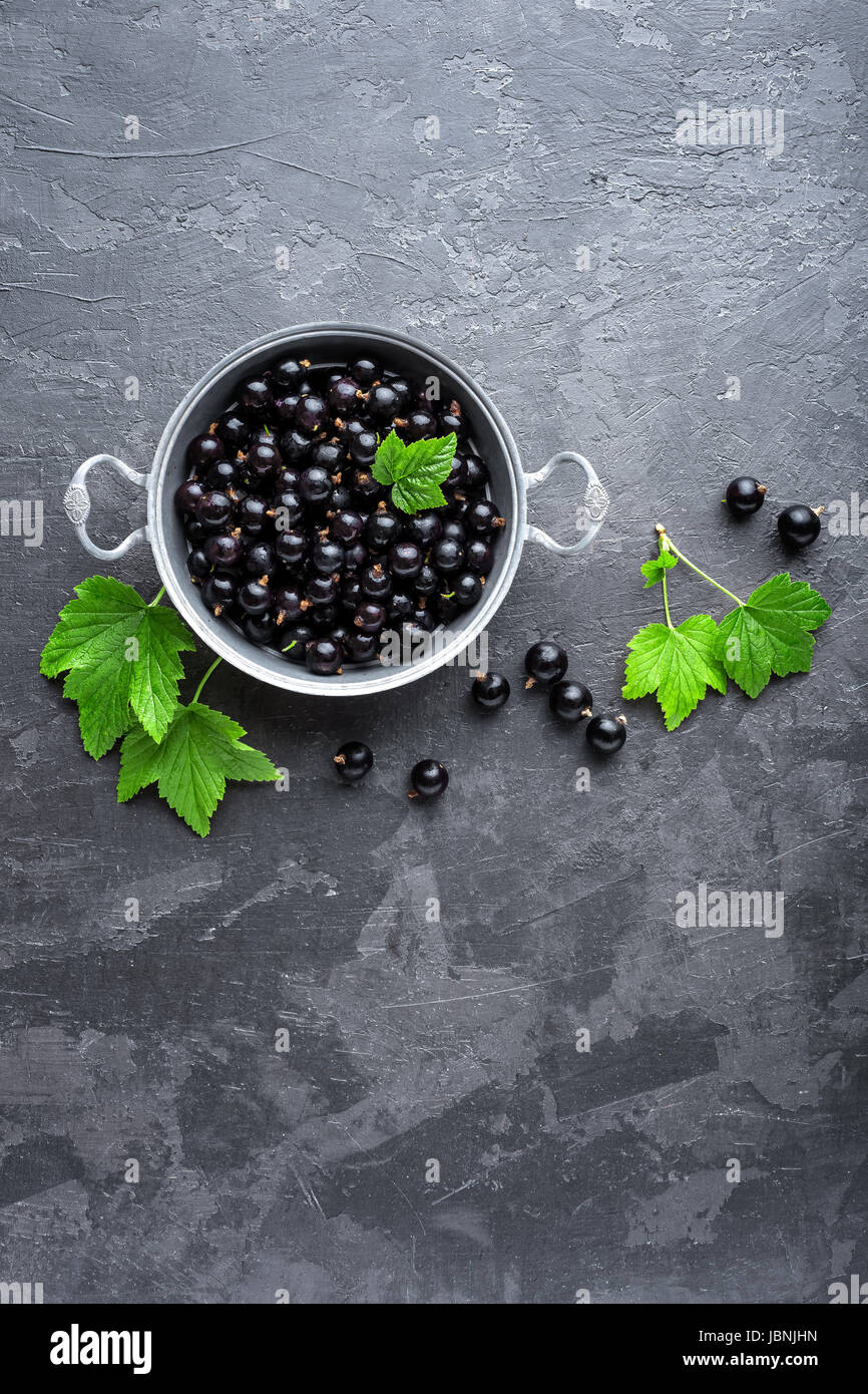 Blackcurrant berries with leaves, black currant Stock Photo - Alamy